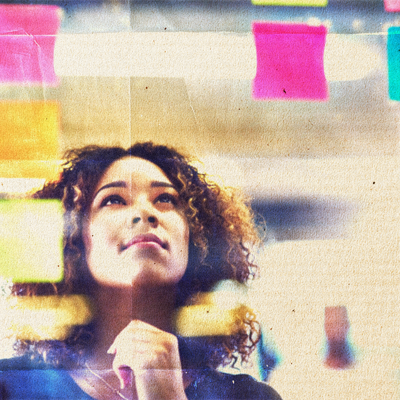 Chapter Camp – Chapter Camp